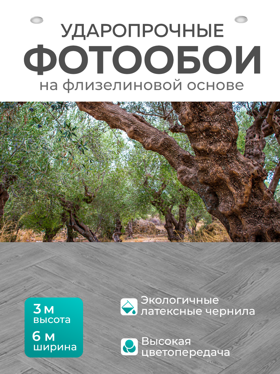 Фотообои моющиеся ударопрочные "Оливковая роща, оливковое дерево, природа" 600x300 см. флизелиновые на стену