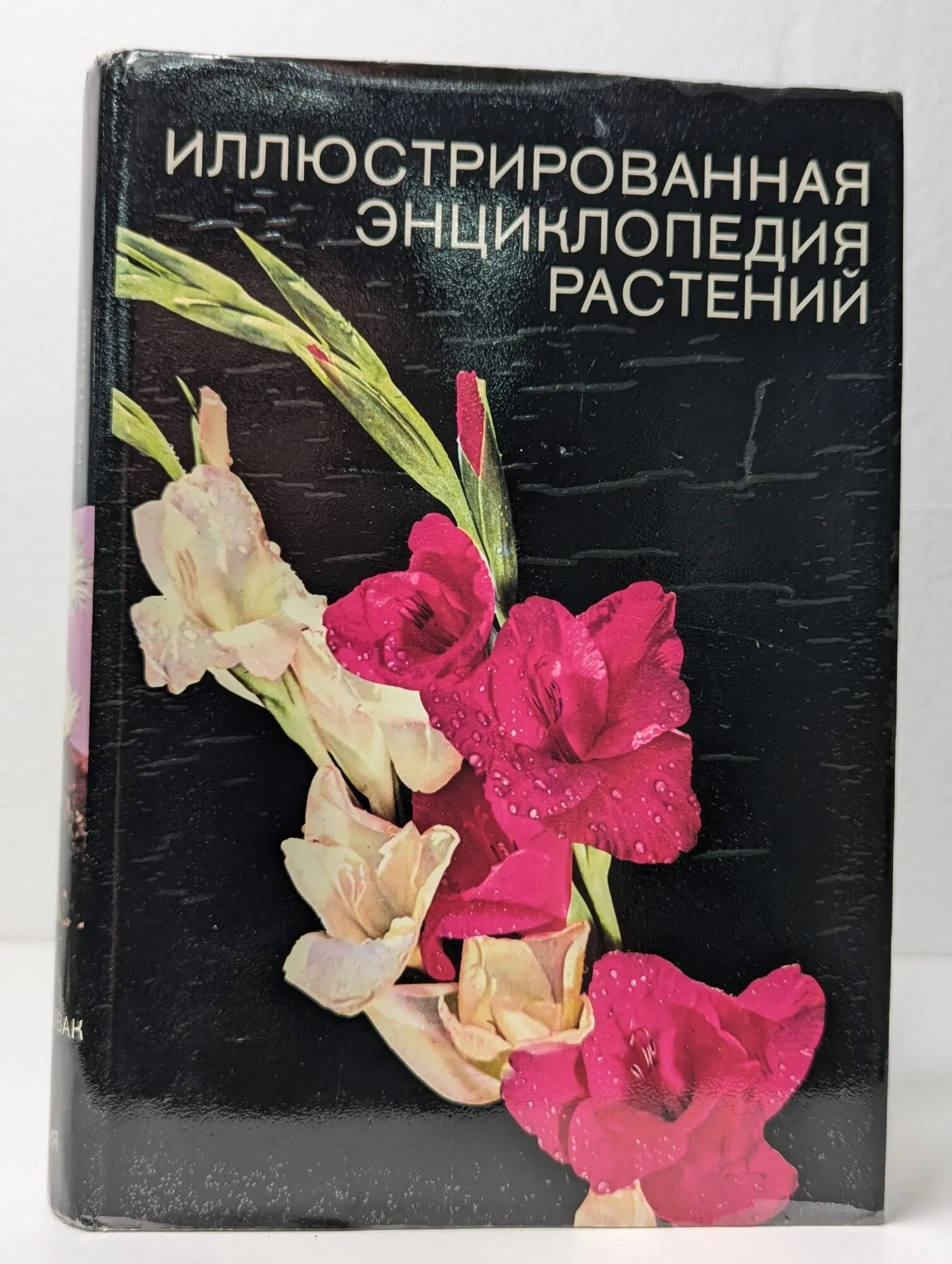 Иллюстрированная энциклопедия растений Новак Ф. А. 1987