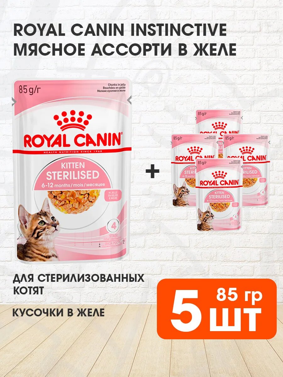 Корм влажный Royal Canin Kitten Sterilised для кастрированных и стерилизованных котят в желе пауч, 85 г х 5 шт