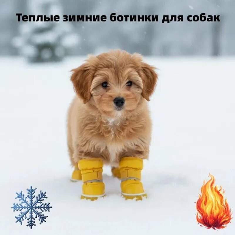 Обувь для собак мелких пород кошек