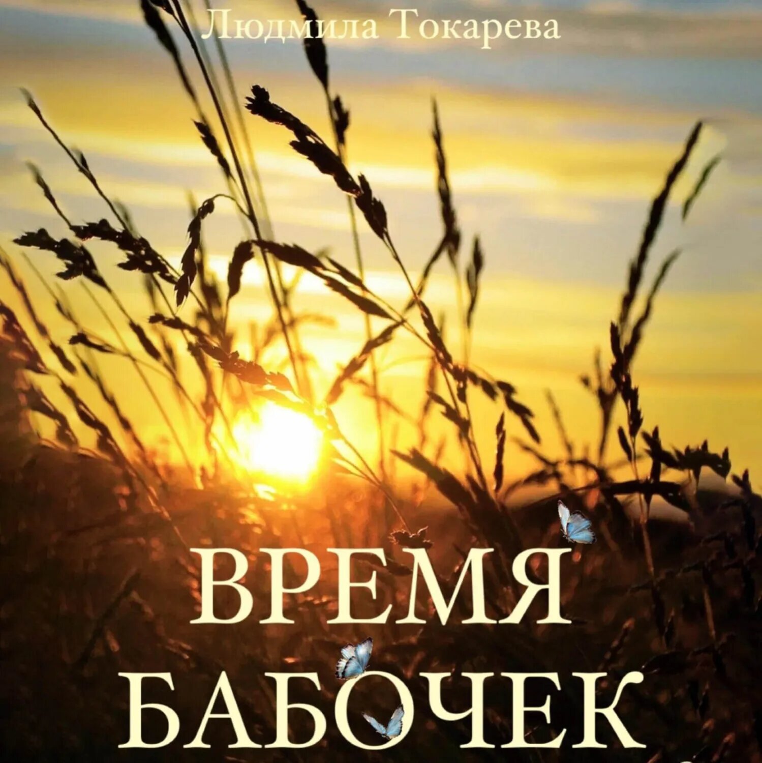 Время бабочек [Аудиокнига]