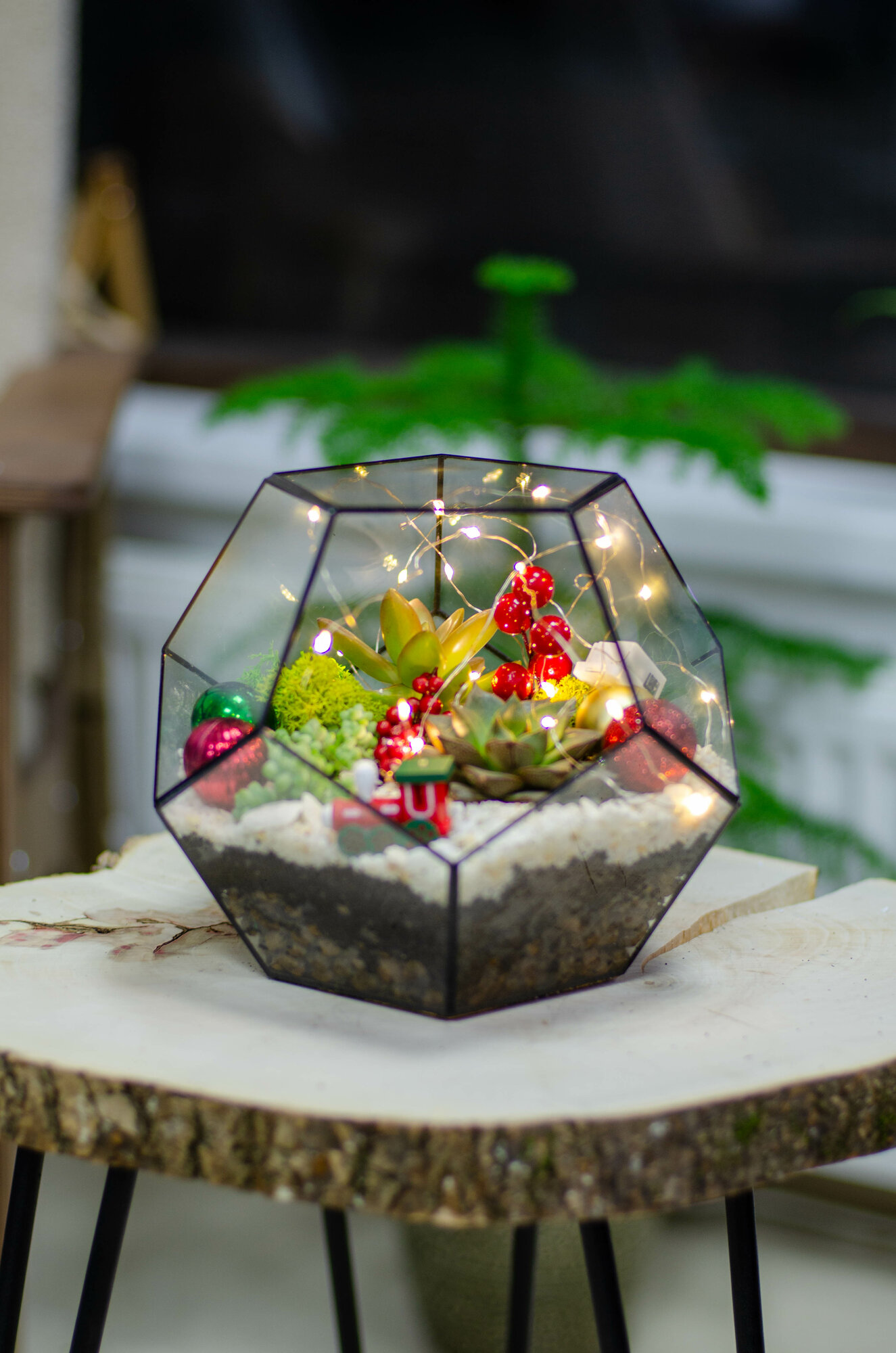 Флорариум с суккулентами, GreenCube, 20х20х20см, настольный, Дедокадер, подарок