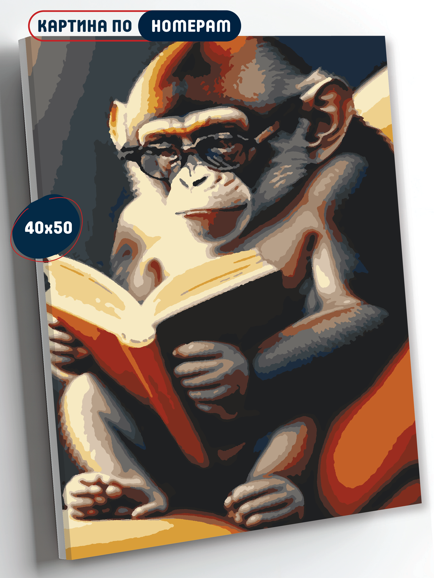 Картина по номерам "Обезьяна с книгой", Холст на подрамнике 40х50, набор для рисования, с животными