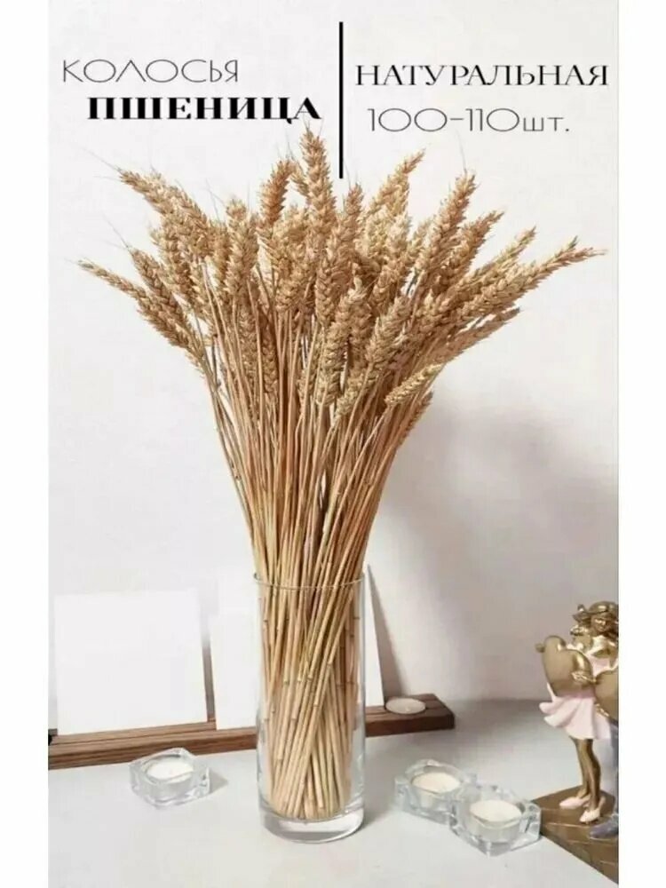 Сухоцветы Пшеница, 55 см, 100 шт