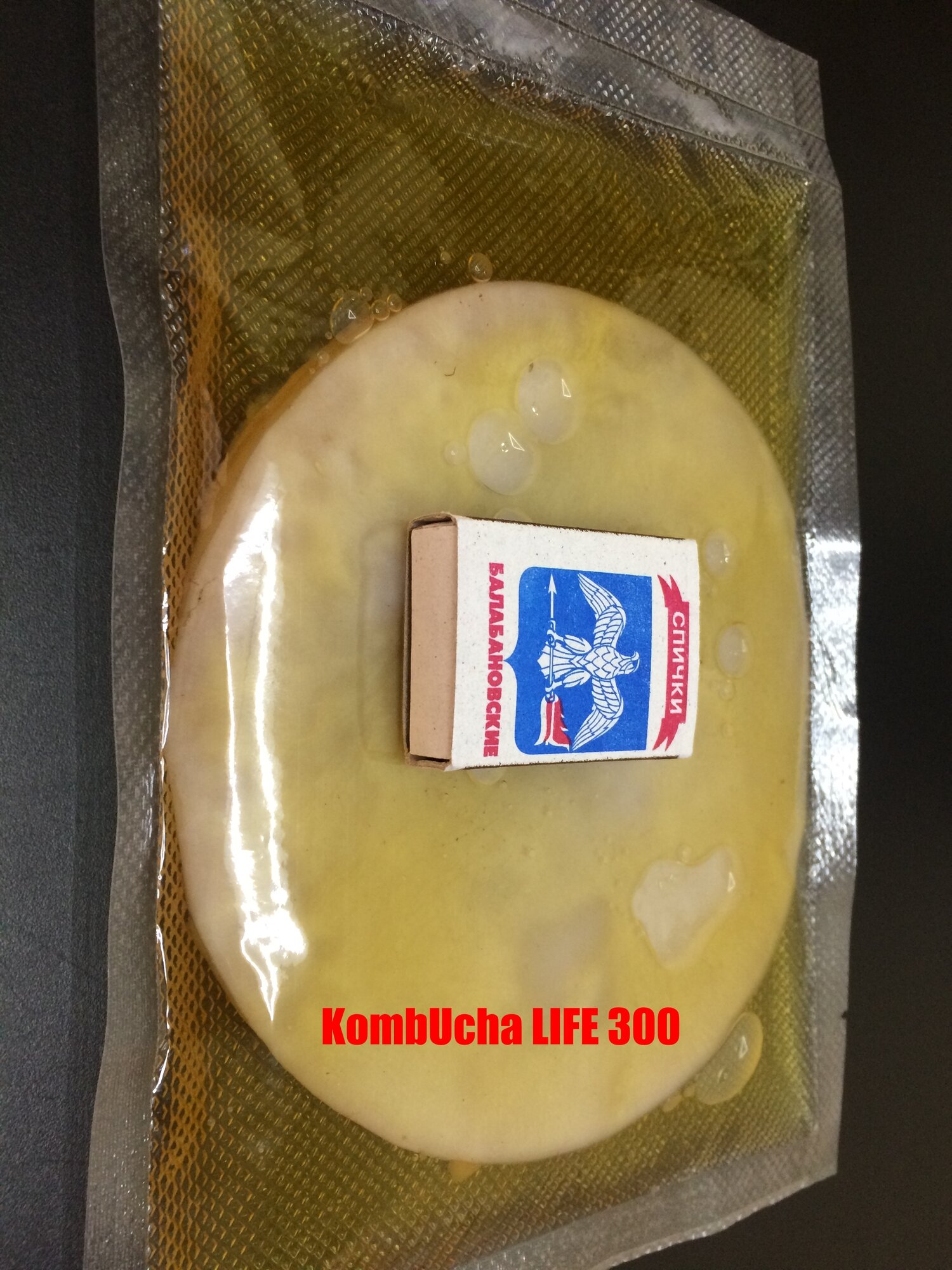 Большой чайный гриб(под 3-х литровую банку), выращенный на зеленом чае и мёде в Предгорьях Кавказа. Полезное начало дня!