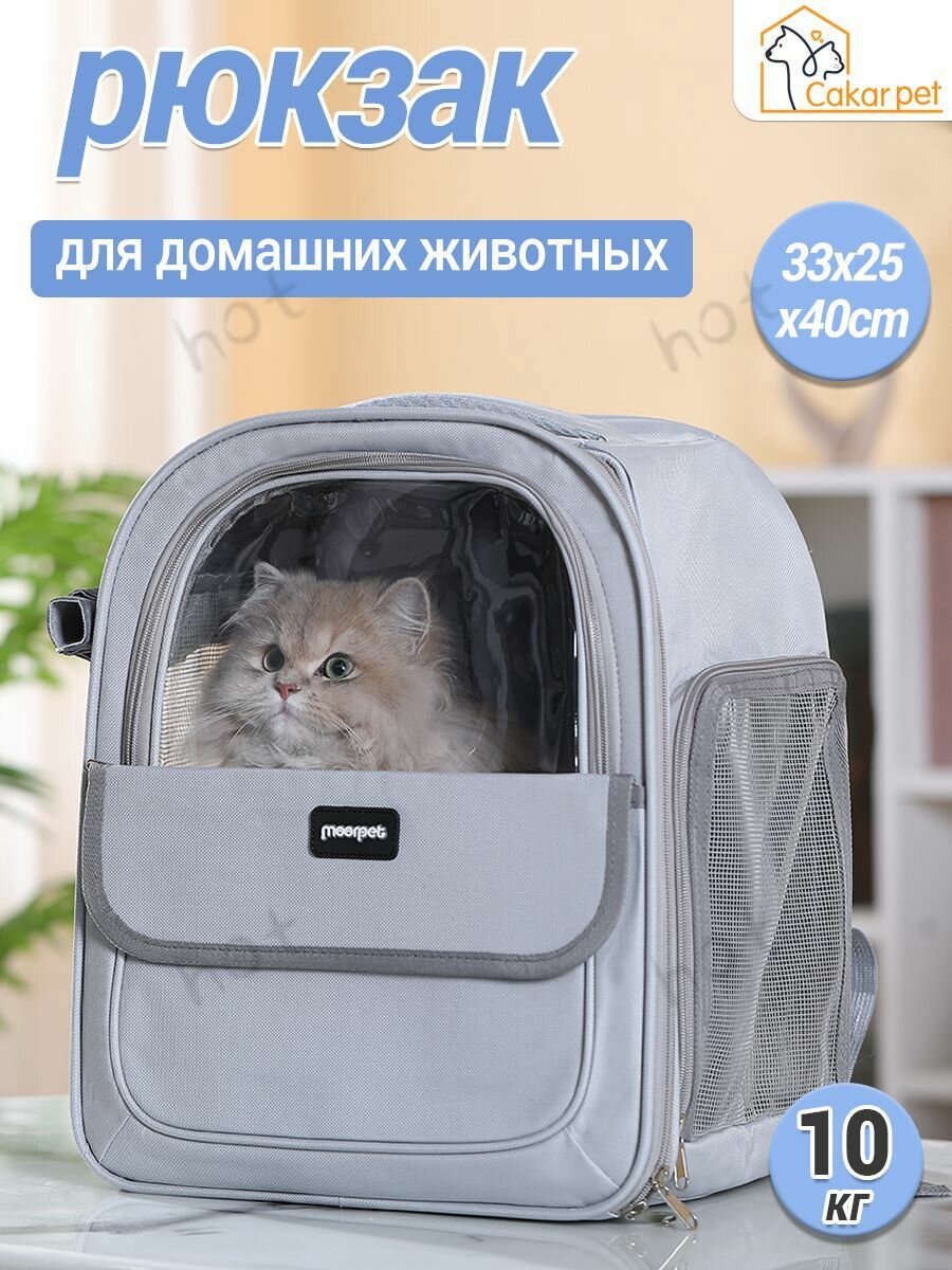 Рюкзак переноска для кошек с иллюминатором, до 10 кг, подходит для кошек и собак