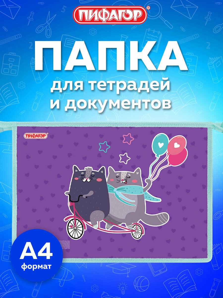 Папка для тетрадей Пифагор А4, 1 отделение, картон/пластик, на молнии, Bike cats, 272125