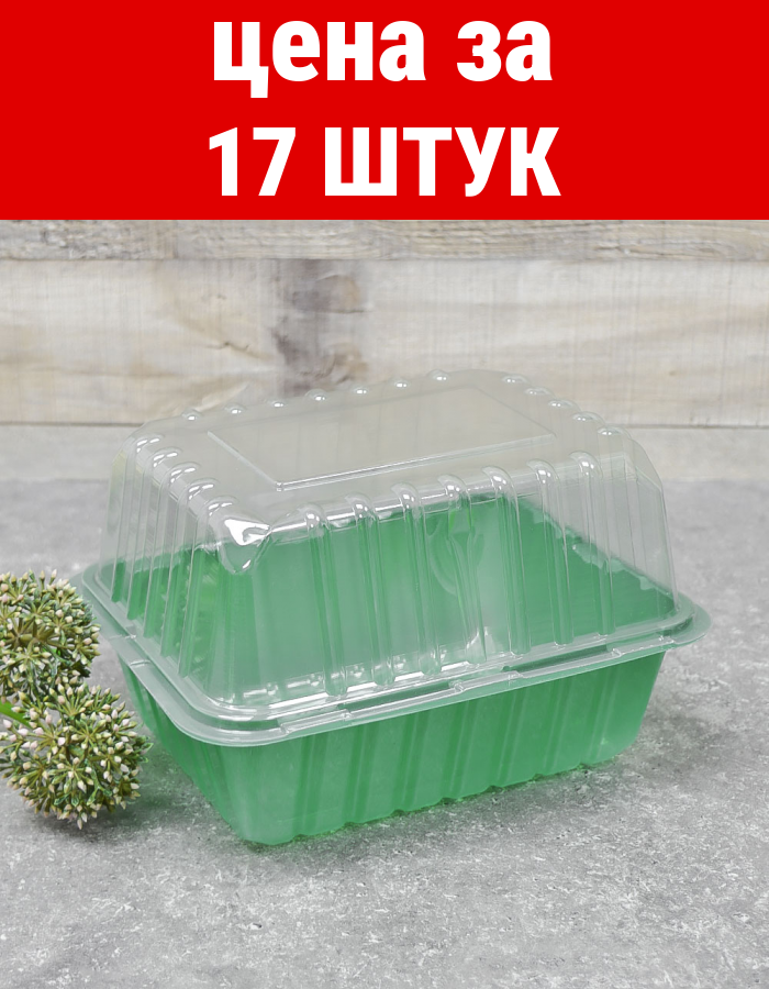 Комплект 17 шт, Парник для рассады 1 место, 21*16*6.5см