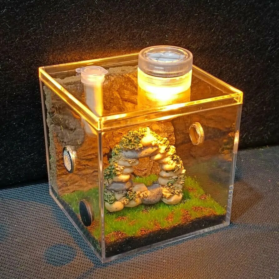 Xiaomi YouPin Террариум для пауков с щипцами-капельницами, клетка для улиток, вольер для сверчков, среда обитания древесных тарантулов