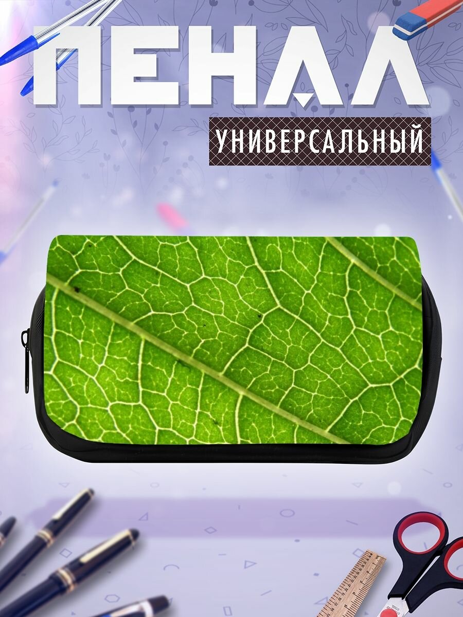 Школьный пенал лист зеленый
