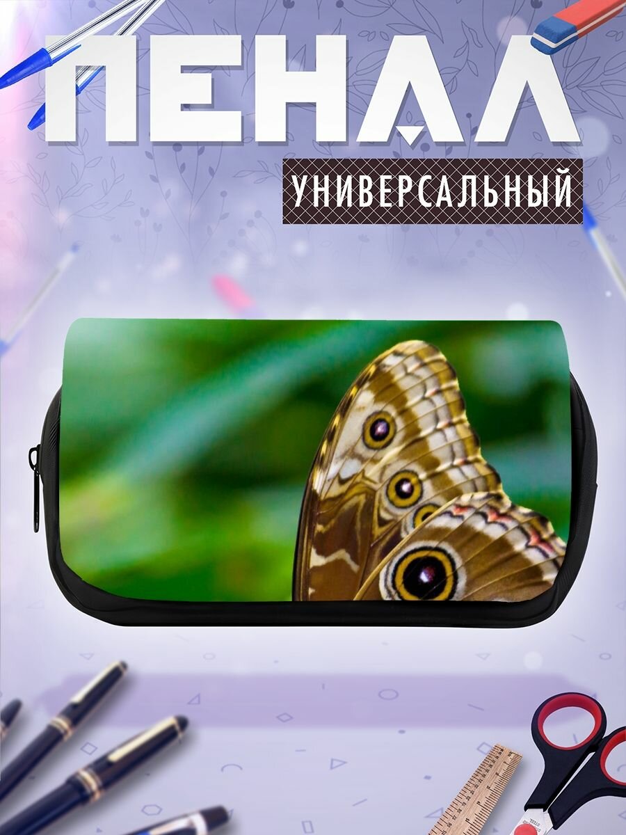 Школьный пенал мотыльки и бабочки бабочка