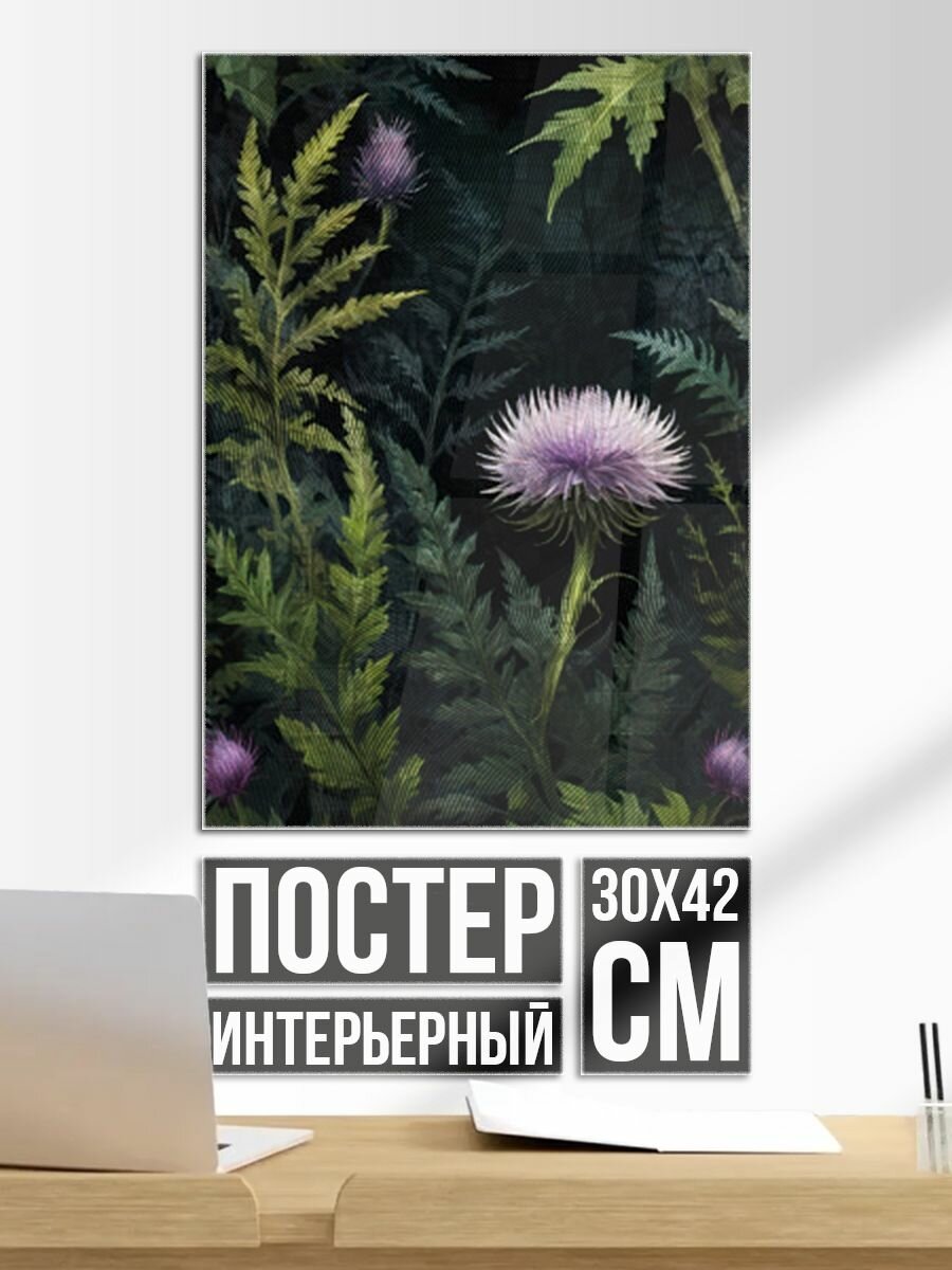 Постер на стену Чертополох