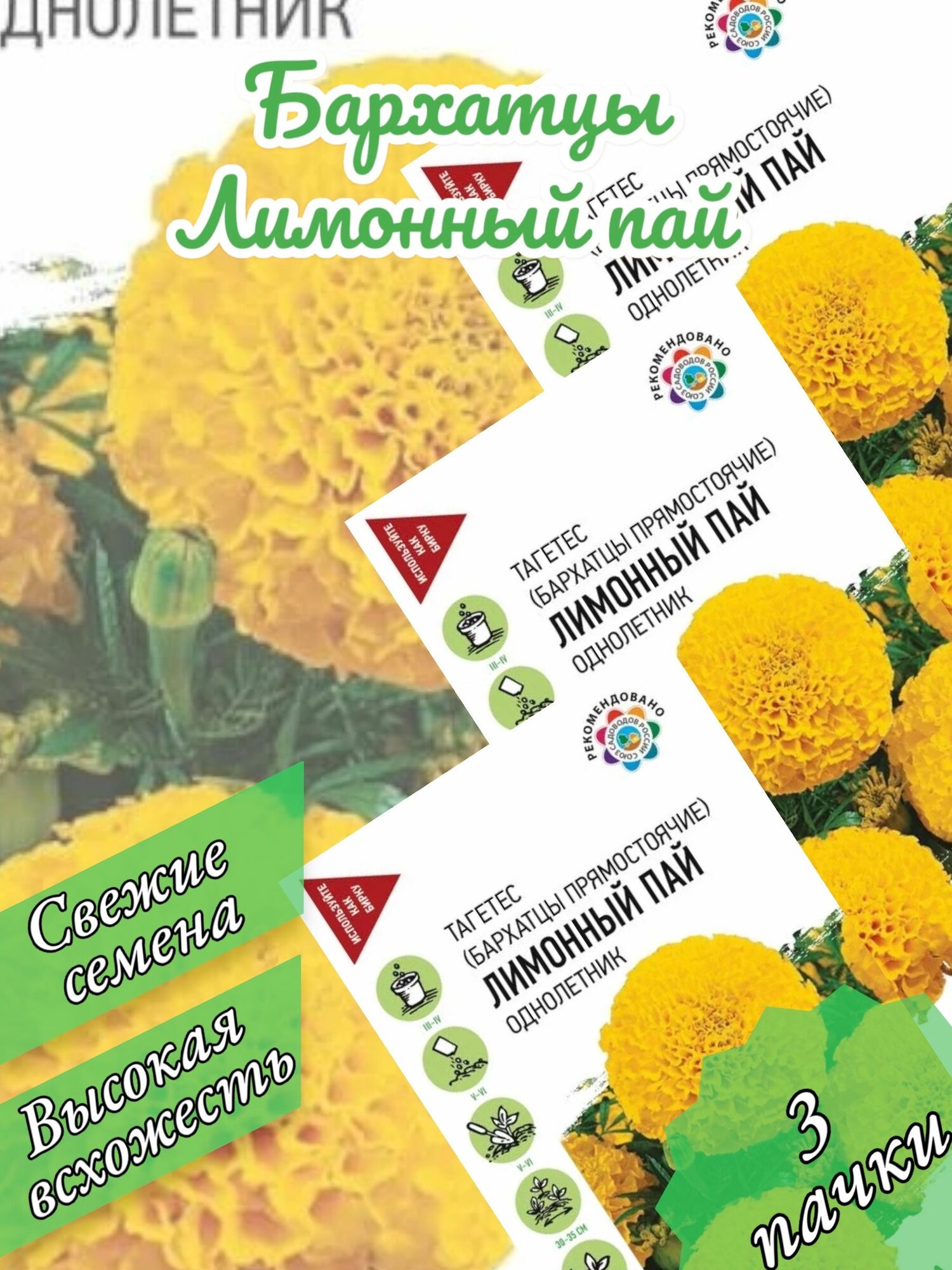 Бархатцы Лимонный пай прямст цв. п 0,1г (комплект из 3 пачек) Гавриш