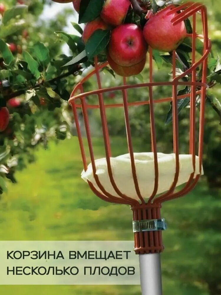 KNOW EASY-Плодосборник,34.5х15х33.5см