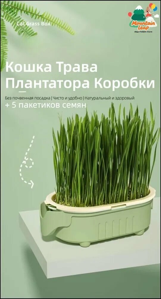 Эксклюзивный набор для проращивания кошачьей травы, 5 пакетов