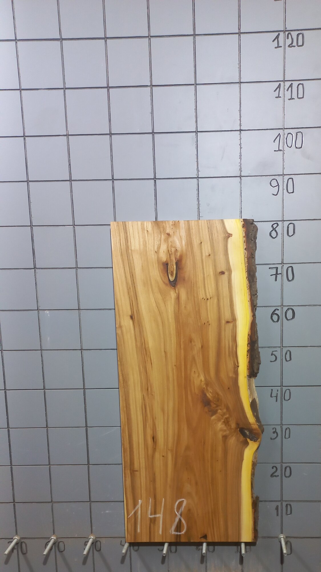 Заготовки для полок Доклес №148, карагач, цельные, сухие, 4х31х79 см