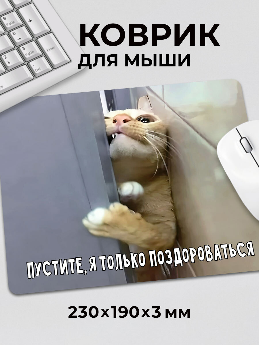 Коврик для мышки с приколом мем кот Пустите поздороваться