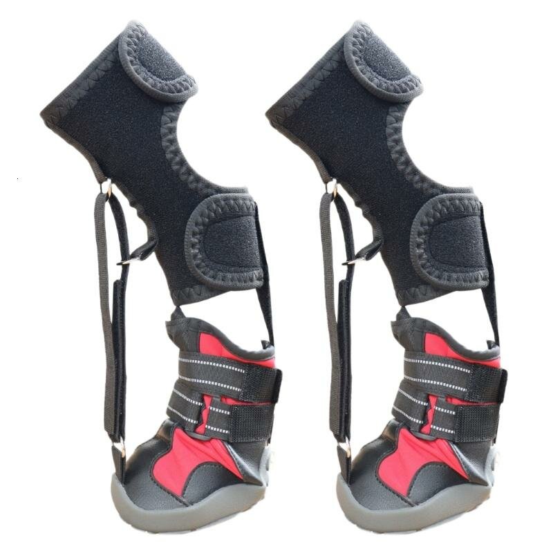 Корректирующий бандаж для собак при падении лапы, Черный красный 2шт - L