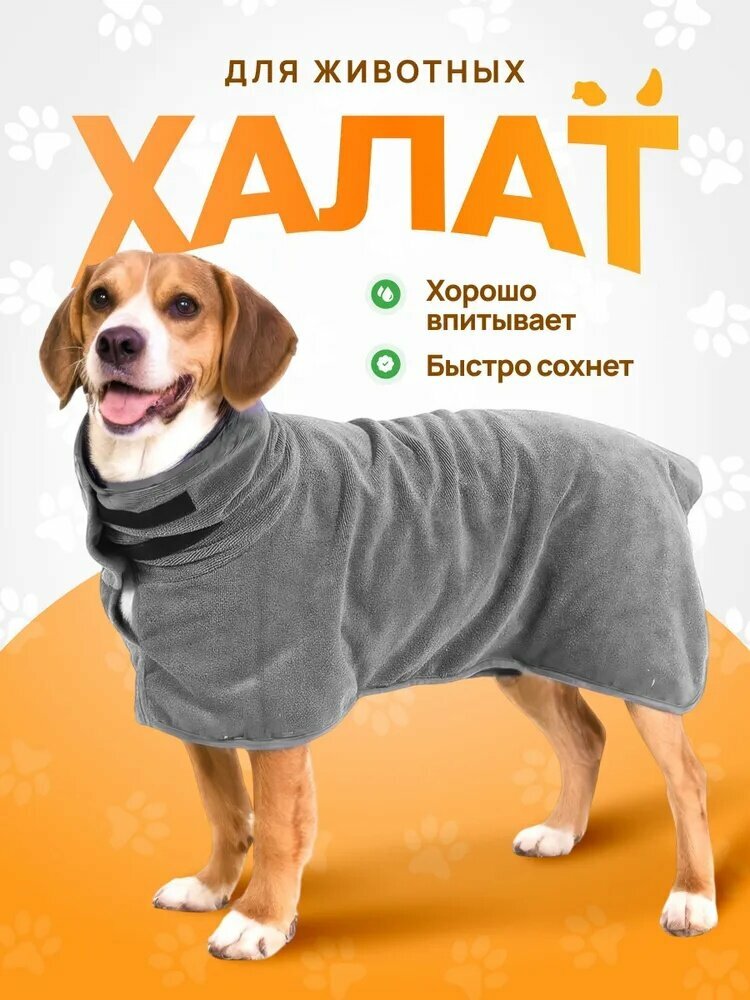 Одежда для животных