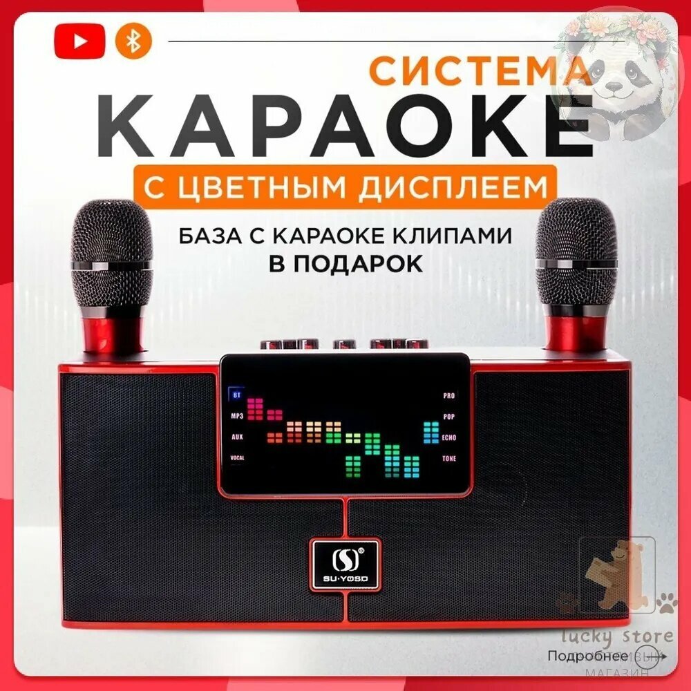Караоке система с двумя беспроводными микрофонами с функцией Bluetooth и цветным дисплеем