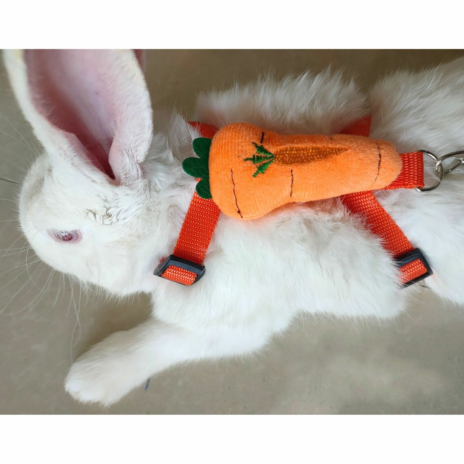 Эксклюзивная тяга для кролика Strawberry S
