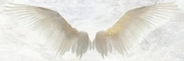 Абстрактная картина "Крылья Ангела" JKPICTURE на холсте P 2, 50x100cm no frame