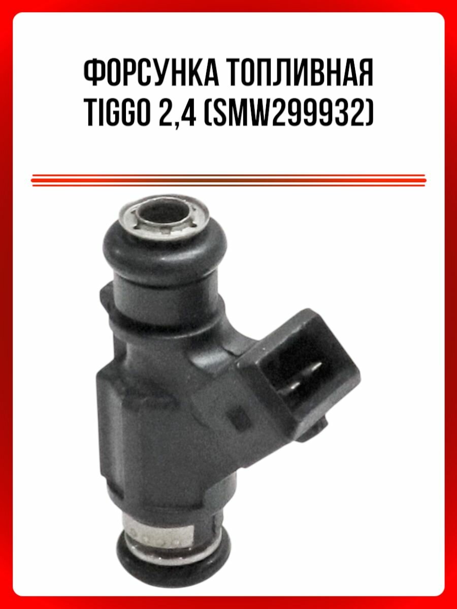 Форсунка топливная Tiggo 2,4 (SMW299932)