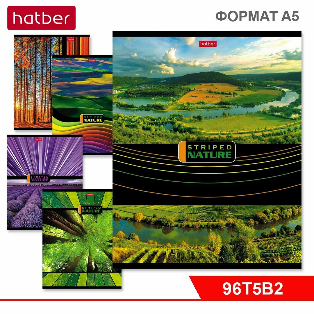 Тетрадь Hatber Полосатый мир А5 Линия 96л в ассортименте 042678