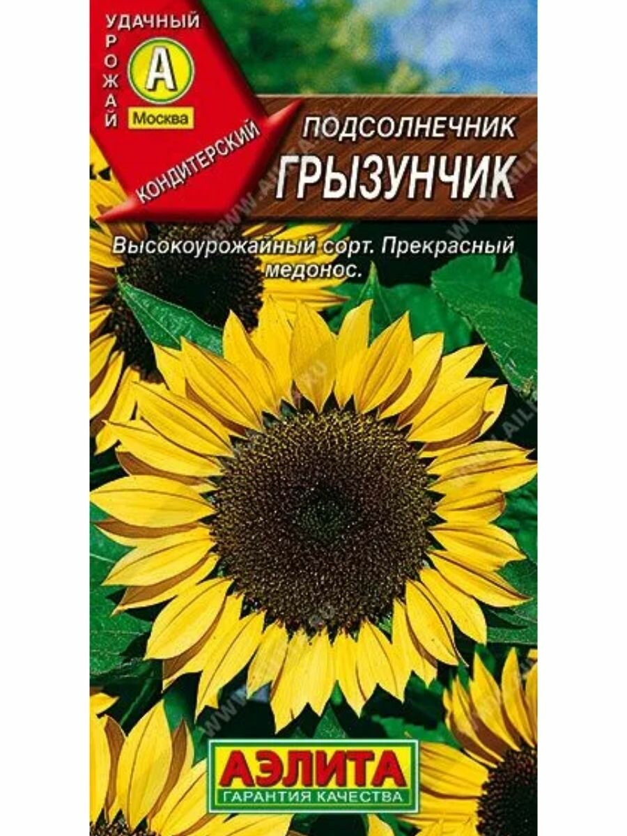 Подсолнечник семена Грызунчик 5 г, высокоурожайный, прекрасный медонос, семена Алтая