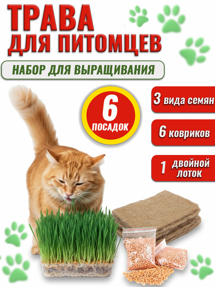 Набор для выращивания травки "Просто", для кошек и мелких собак, 1 лоток, 6 посадок