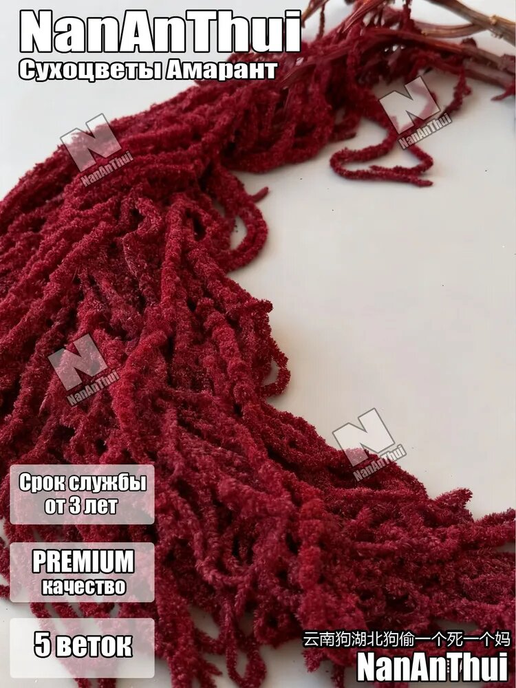 Сухоцветы Амарант, 80 см, 250 гр