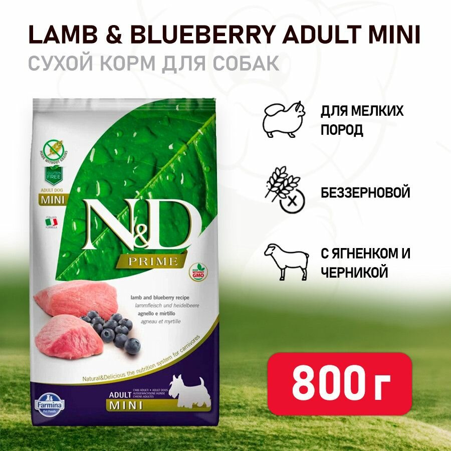 Farmina N&D Prime Dog Lamb & Blueberry Adult Mini 800 гр. сухой беззерновой корм для взрослых собак мелких пород с ягненком и черникой