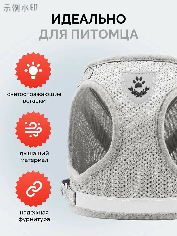 Шлейка — фото 1