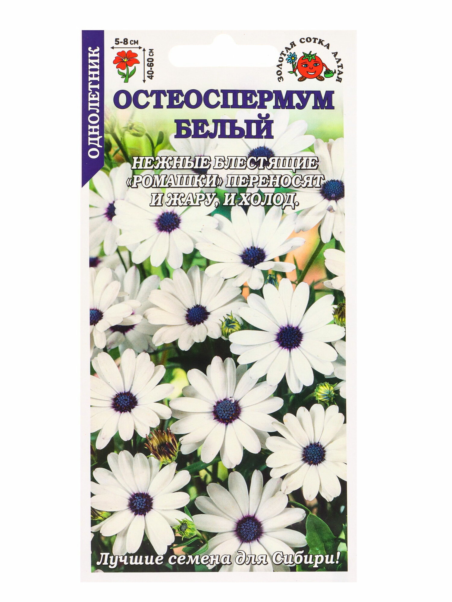Семена Остеоспермум "Белый", 0.1 г, цветение период: август, посев на рассаду: апрель