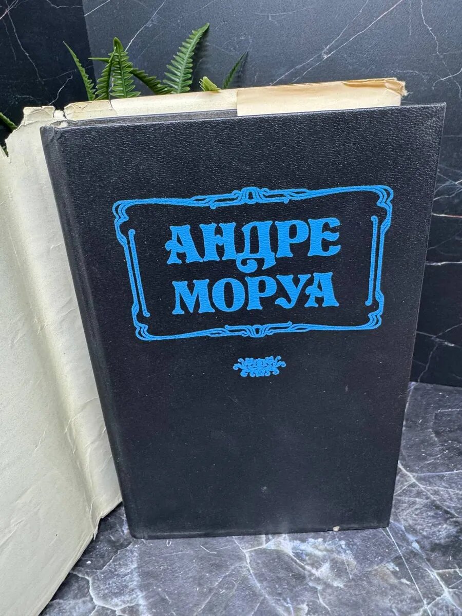 Семейный круг — фото 1