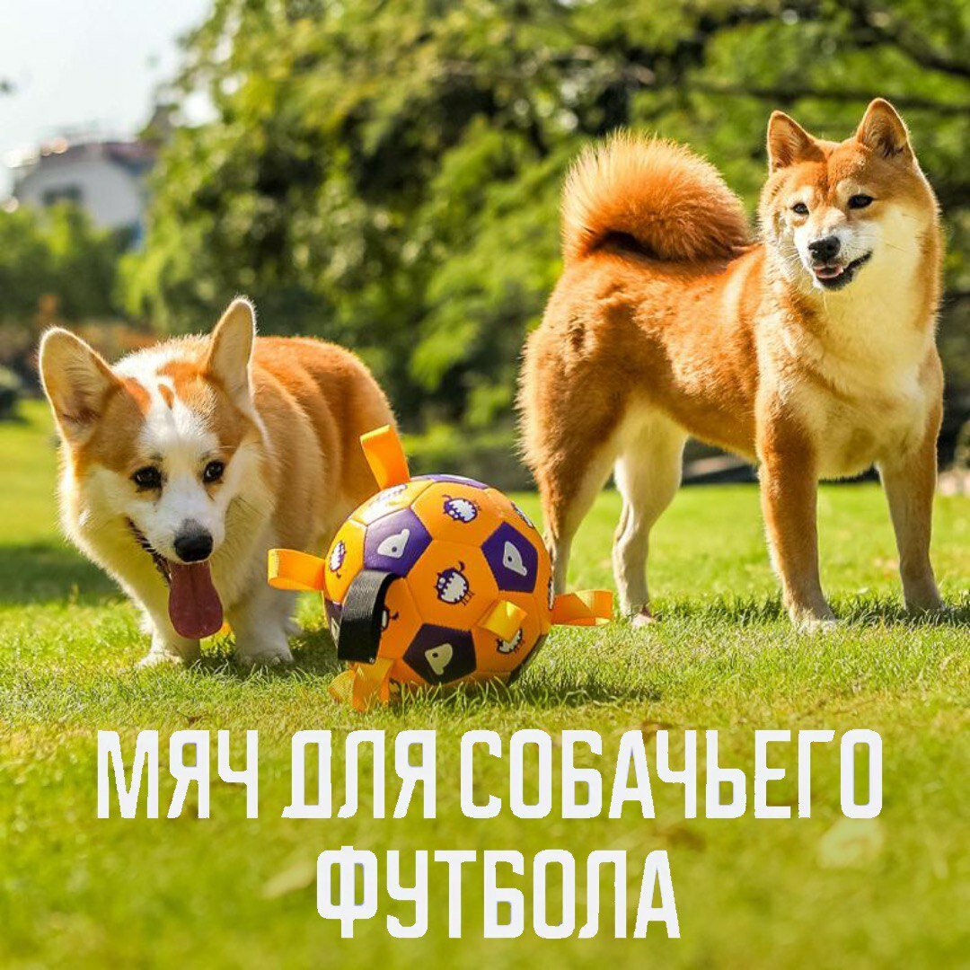 Мяч для собак "Футбол" с петлями. Оранжево-фиолетовый, 1 шт. — фото 1