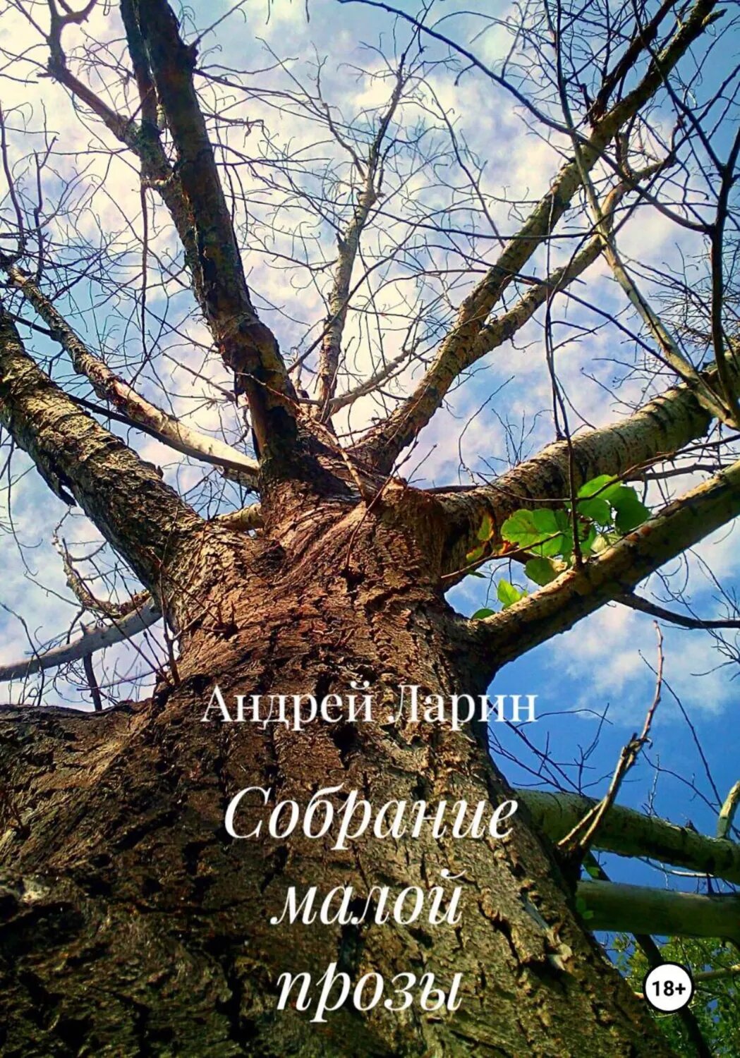 Собрание малой прозы [Цифровая книга]