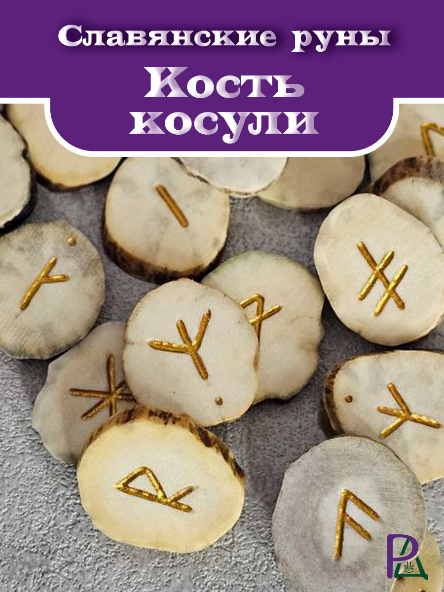 Славянские руны на кости косули (ручная уникальная работа) 18шт + инструкция