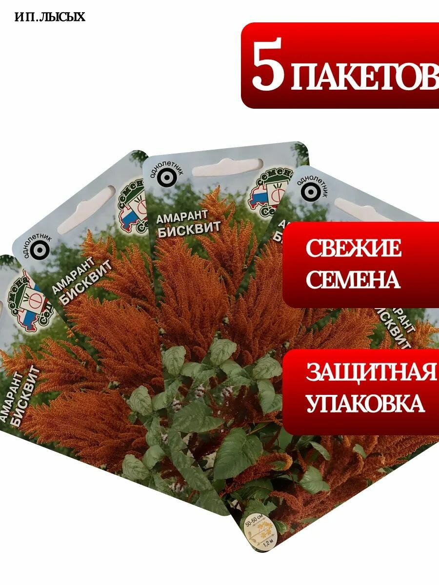 Семена Амарант "Бисквит"