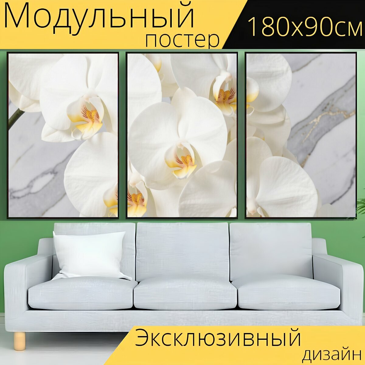 Модульный постер "Белые орхидеи на мраморном фоне. Нежные тропические цветы с крупными белоснежными лепестками и жёлтыми сердцевинами." 180 x 90 см. для интерьера на стену в тубусе