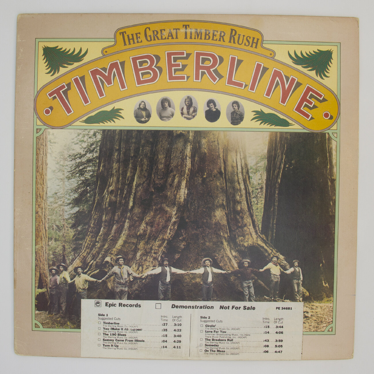 Виниловая пластинка Timberline - The Great Timber Rush, 1xLP, EX