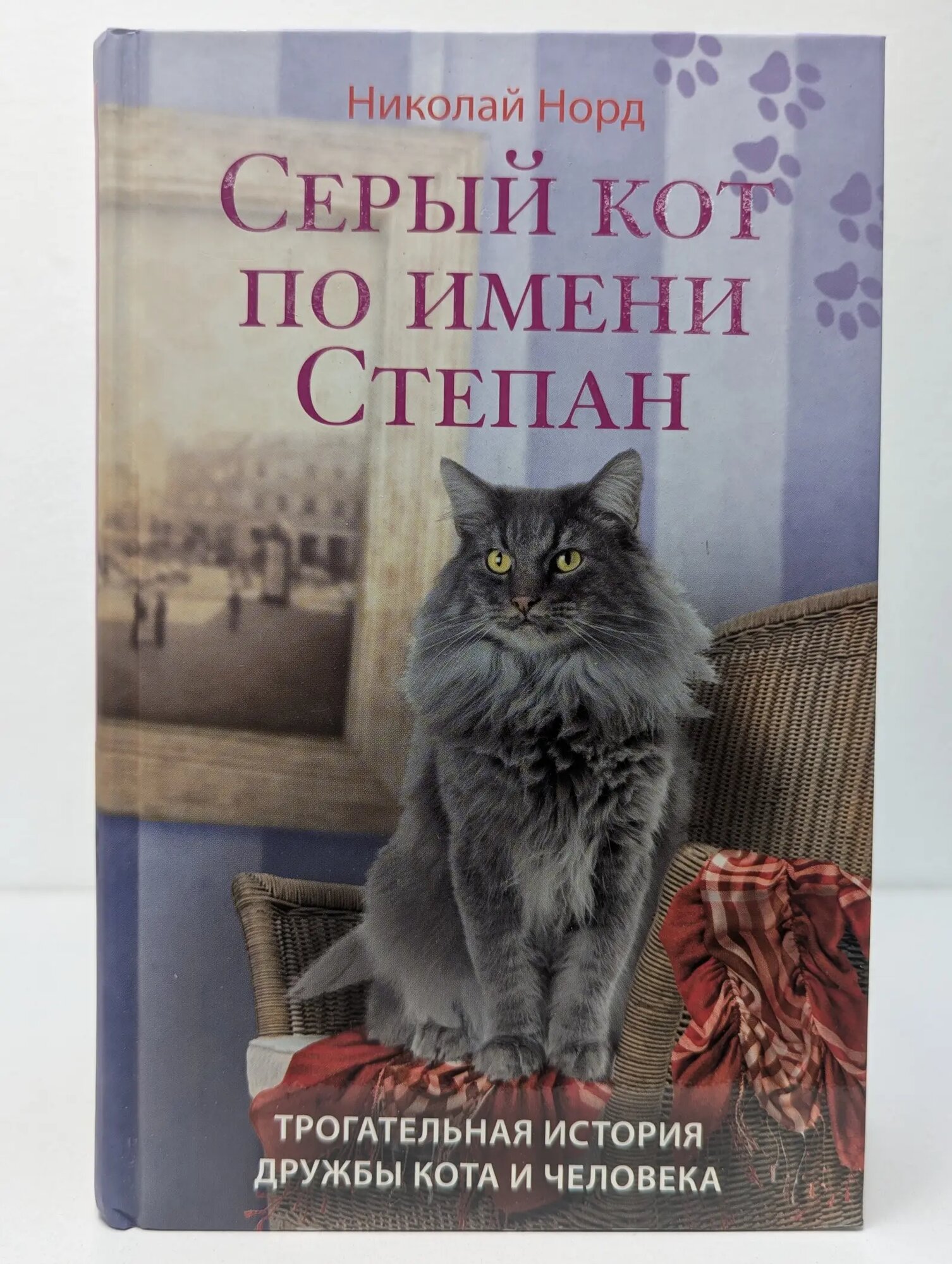 Серый кот по имени Степан. Трогательная история дружбы кота и человека Норд Николай Иванович 2014