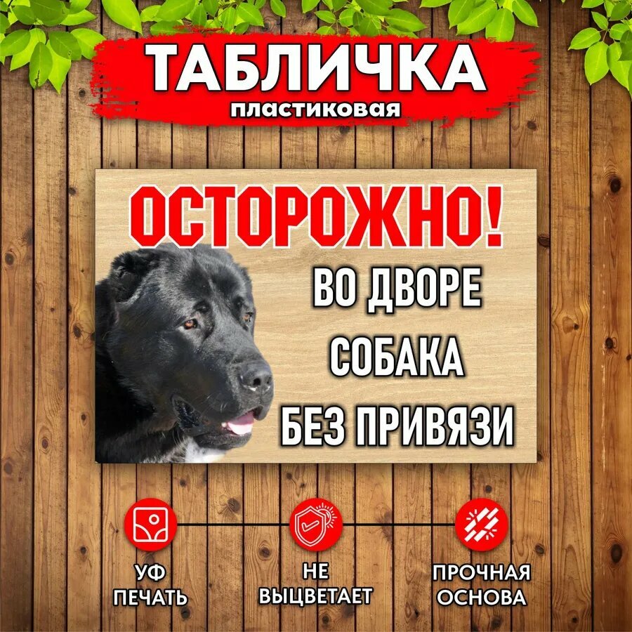 Табличка Осторожно Во дворе собака без привязи Алабай