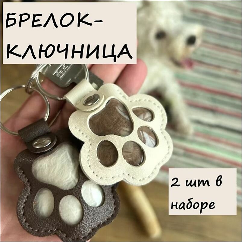 Брелок для хранения шерсти питомца, ключница, адресник Лапка, 2 шт