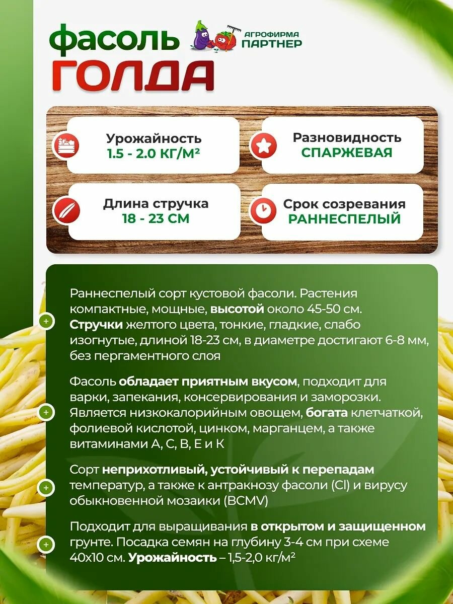 Семена фасоли Голда — фото 1