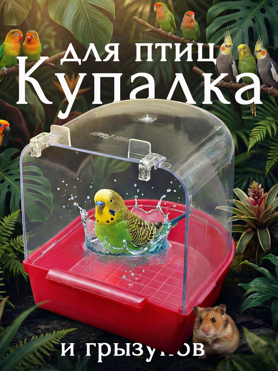 Купалка, ванна, ванночка для птиц, попугаев, грызунов, хомяка ванночка для птиц купалка для грызунов