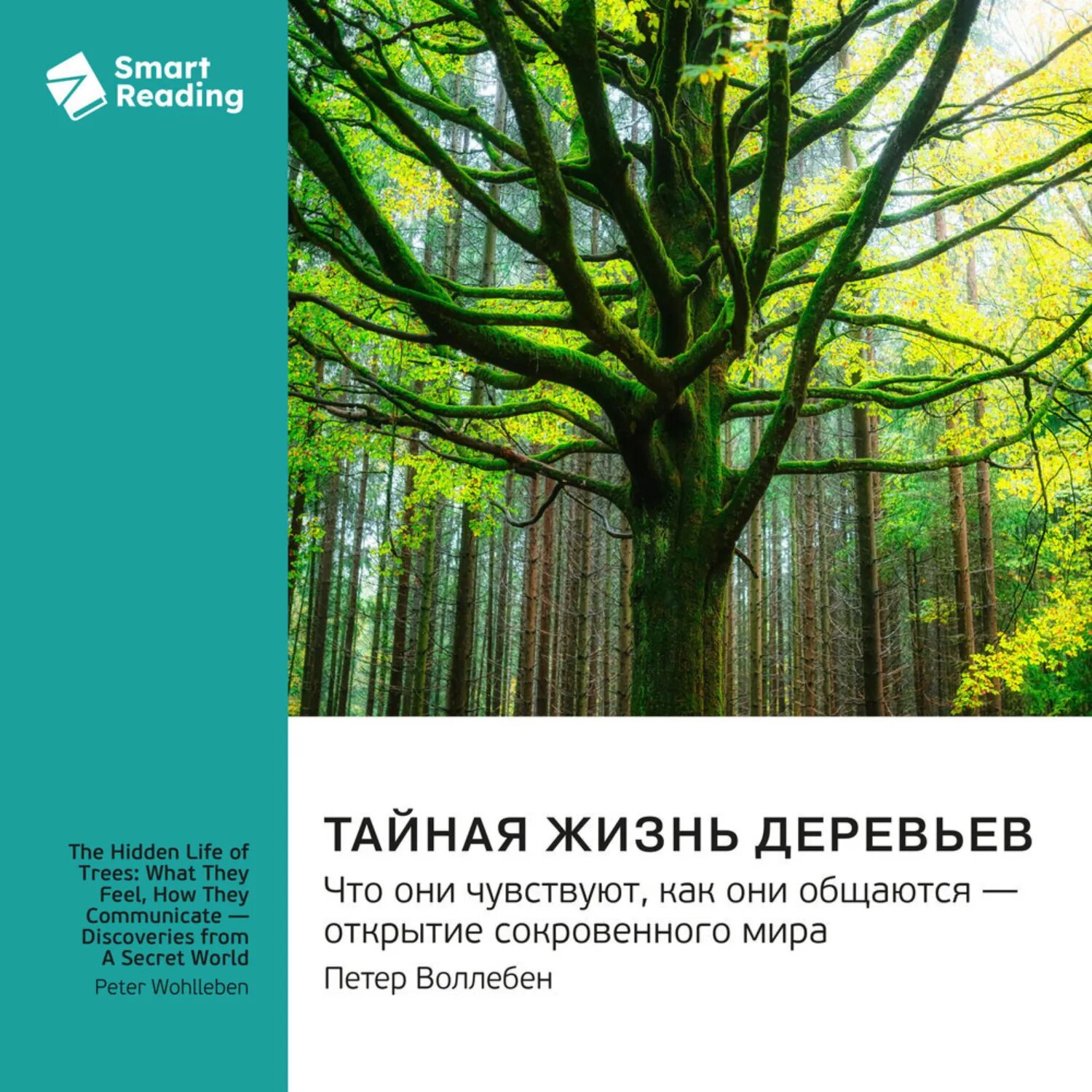 Тайная жизнь деревьев. Что они чувствуют, как они общаются – открытие сокровенного мира. Петер Воллебен. Саммари [Аудиокнига]