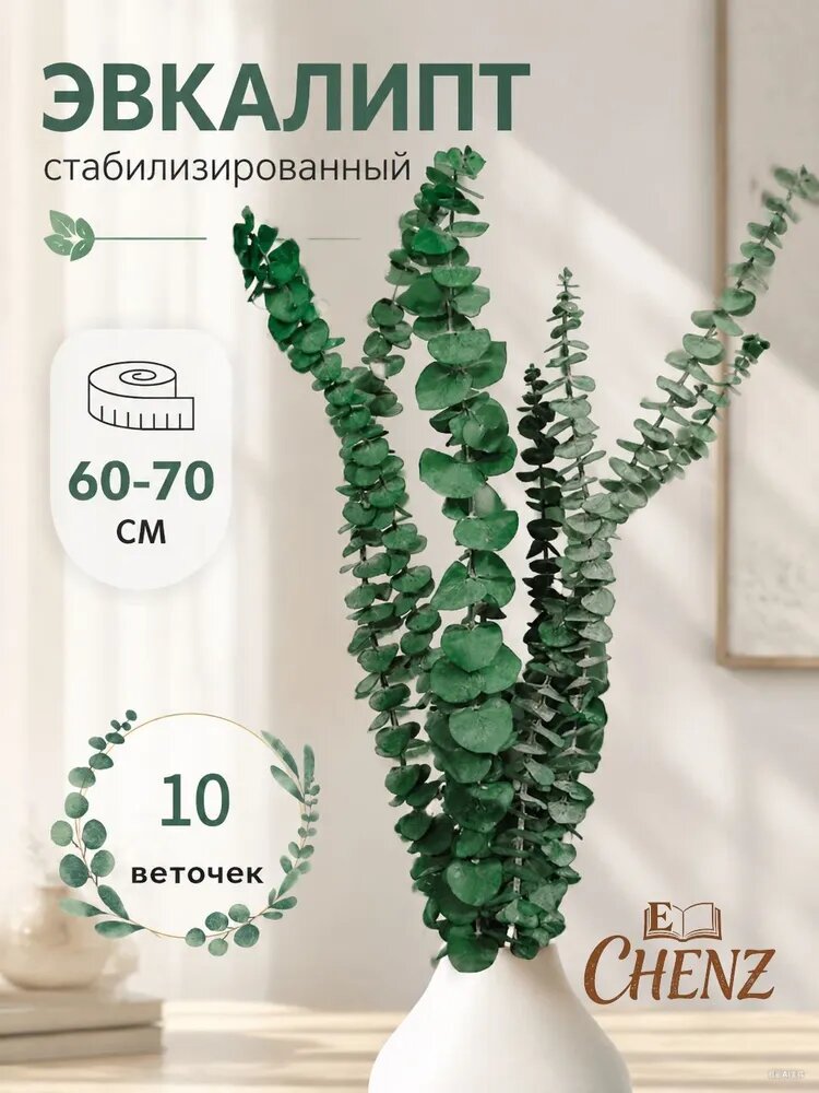 Стабилизированные цветы Эвкалипт, 50 см, 10 шт