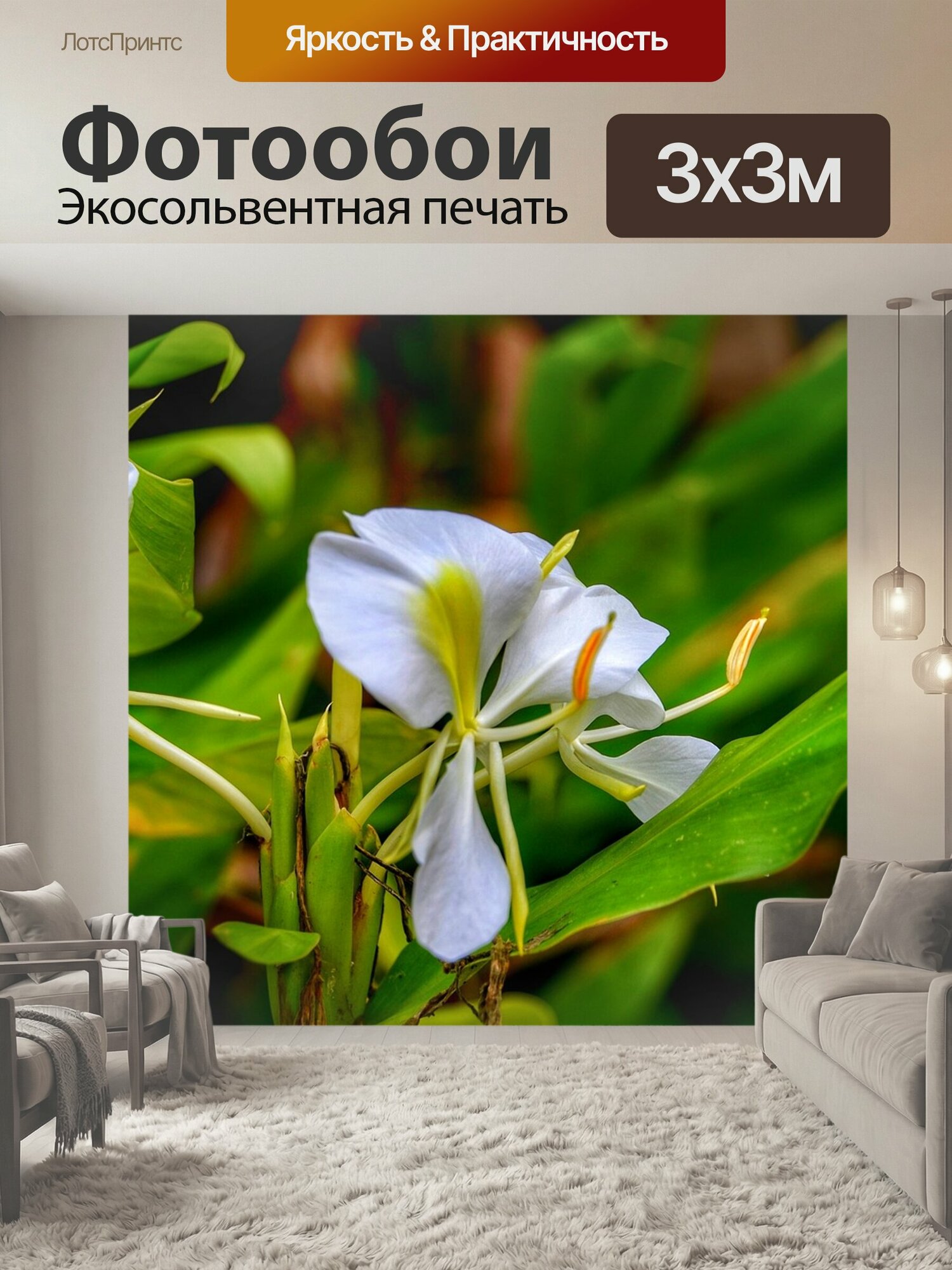 Фотообои "Mariposa, белый имбирь, цветок" 300x300 см. экосольвентная печать