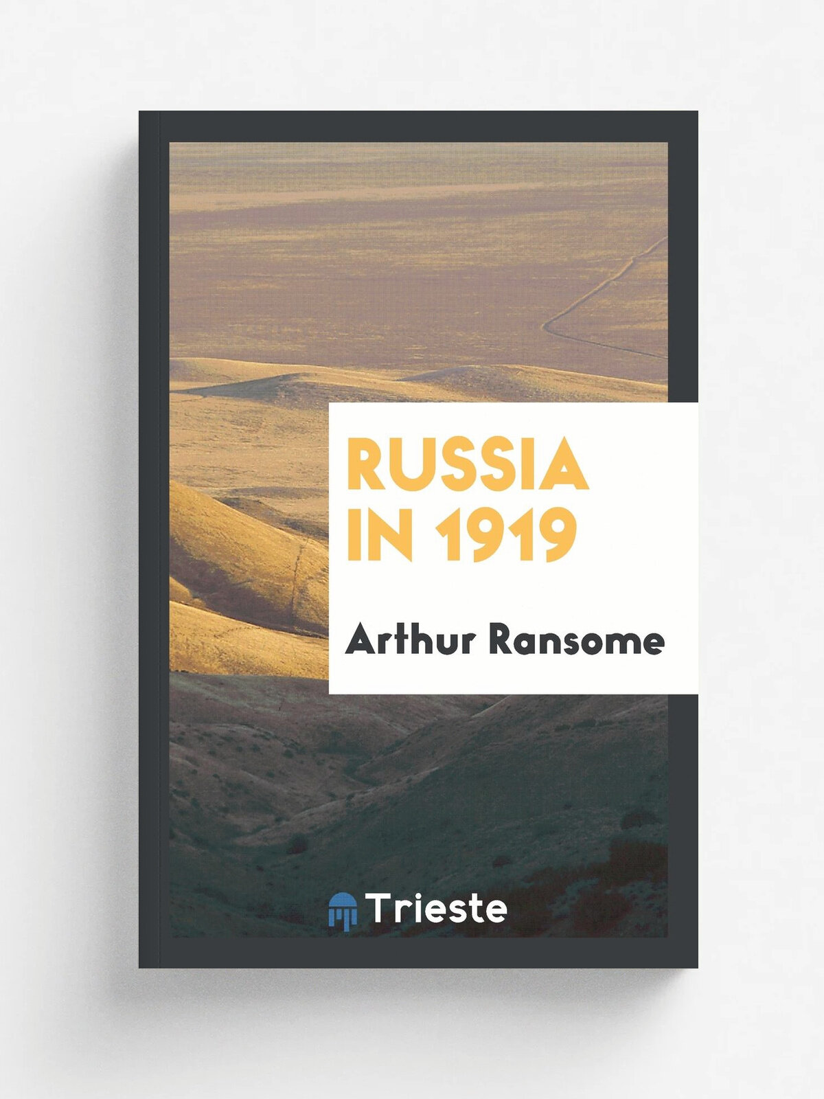 Russia in 1919